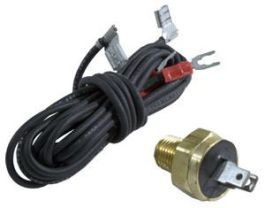 Raypak 600892B 135 Degree Hi-Limit Switches on Sale at YourPoolHQ