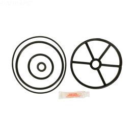 Pentair 261152 Valve Repair Kit