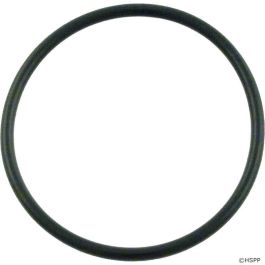 Sta-Rite 35505-1243 Stand Pipe O-Ring