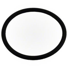 Pentair 350336 Diffuser O-Rings for WhisperFlo XF Pumps on Sale at YourPoolHQ