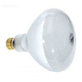 Halco Pool Light R40 Bulb 500W 120V | YourPoolHQ