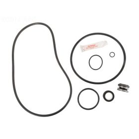 Sta-Rite Max-E-Glas Dura-Glas Repair Kit - Go-Kit 54 - (1998 - Later)