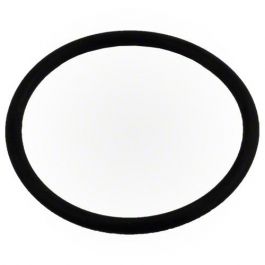 Pentair 350336 Diffuser O-Rings for WhisperFlo XF Pumps on Sale at YourPoolHQ